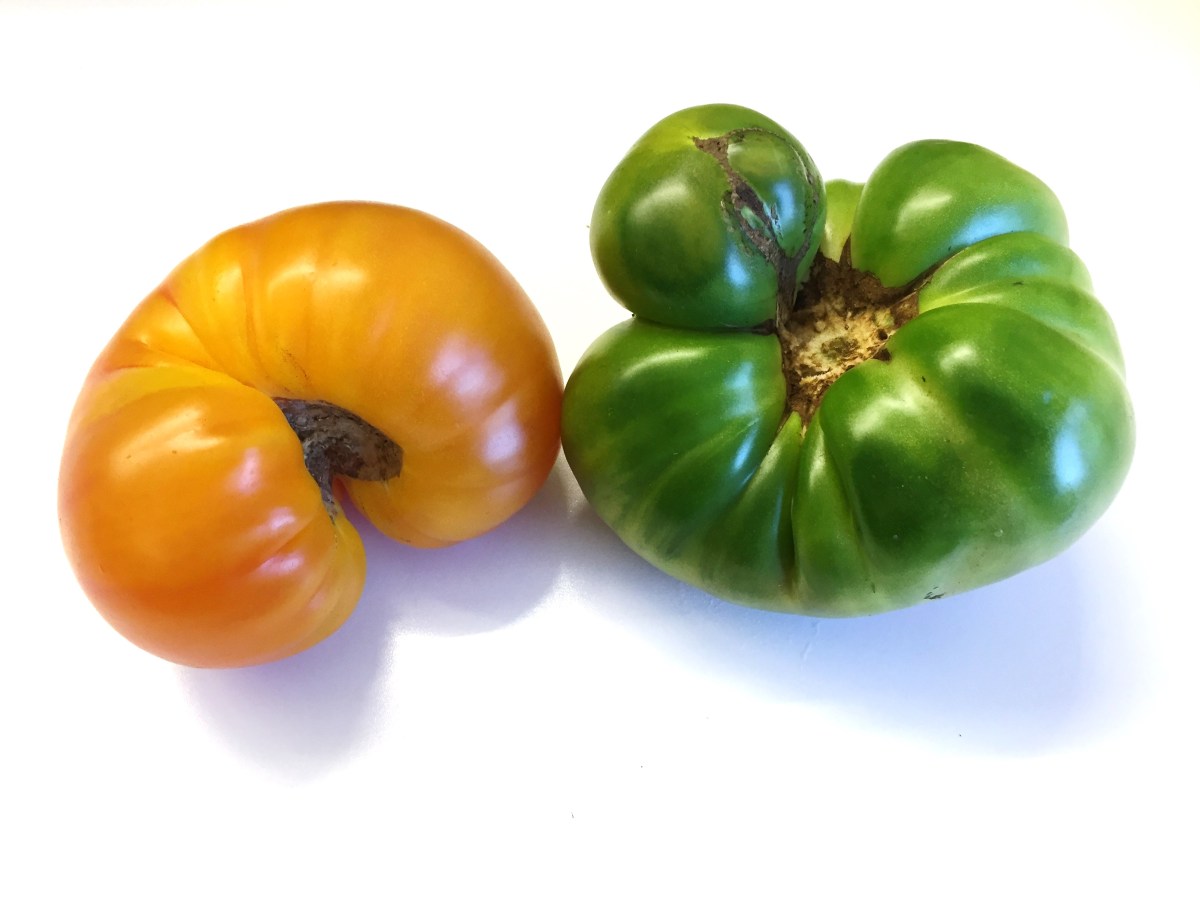 The Ugly Fruit and Vegetable Campaign – New Kid on the Guac